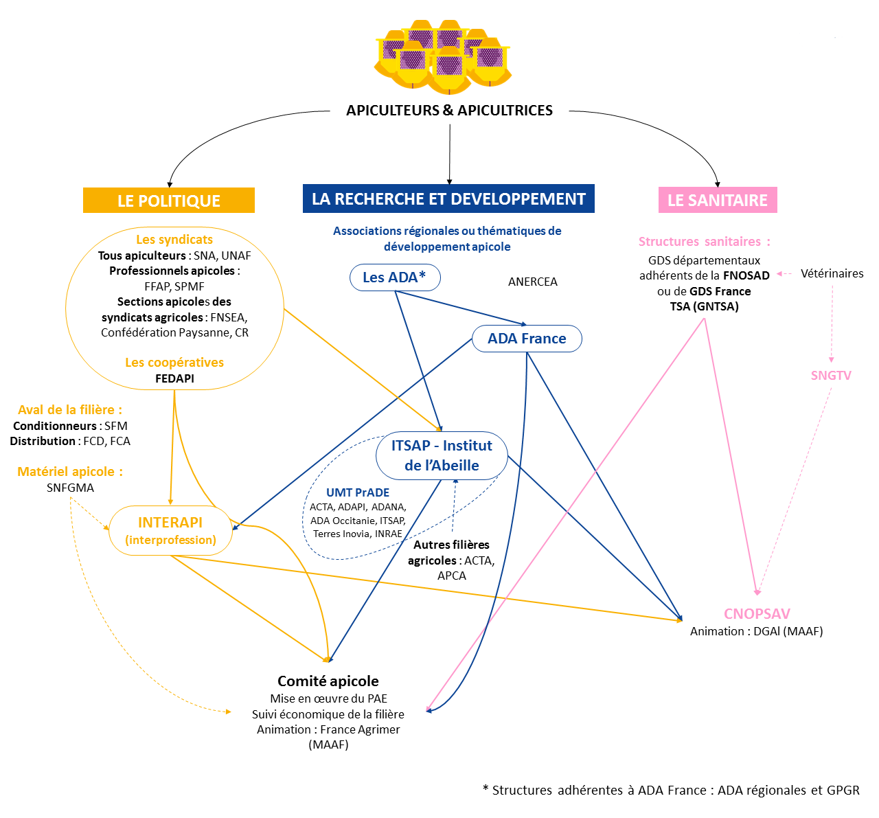 L'organisation de la filière - ADA France L'organisation de la filière - ADA France