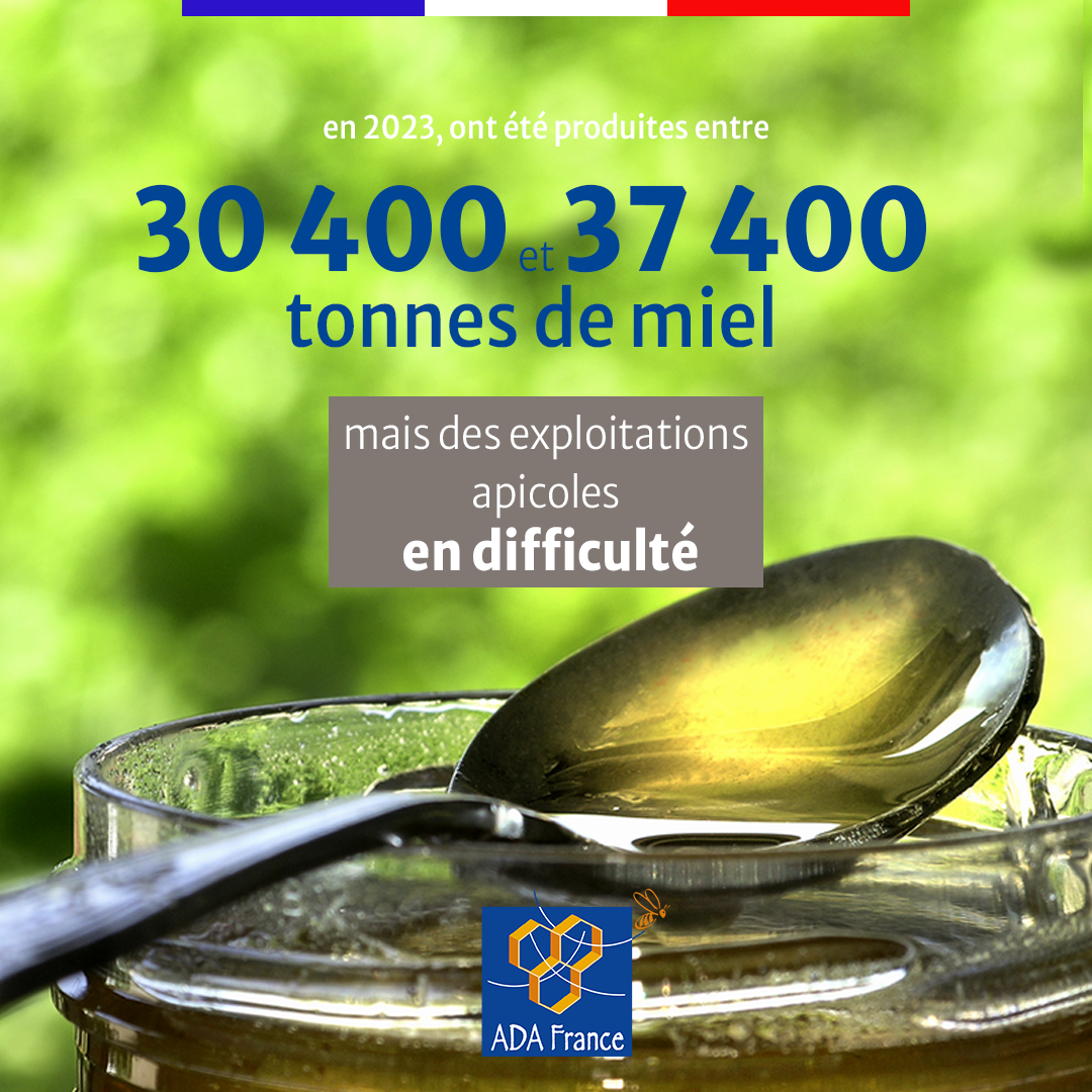 L'estimation 2023 de production de miel en France - ADA France