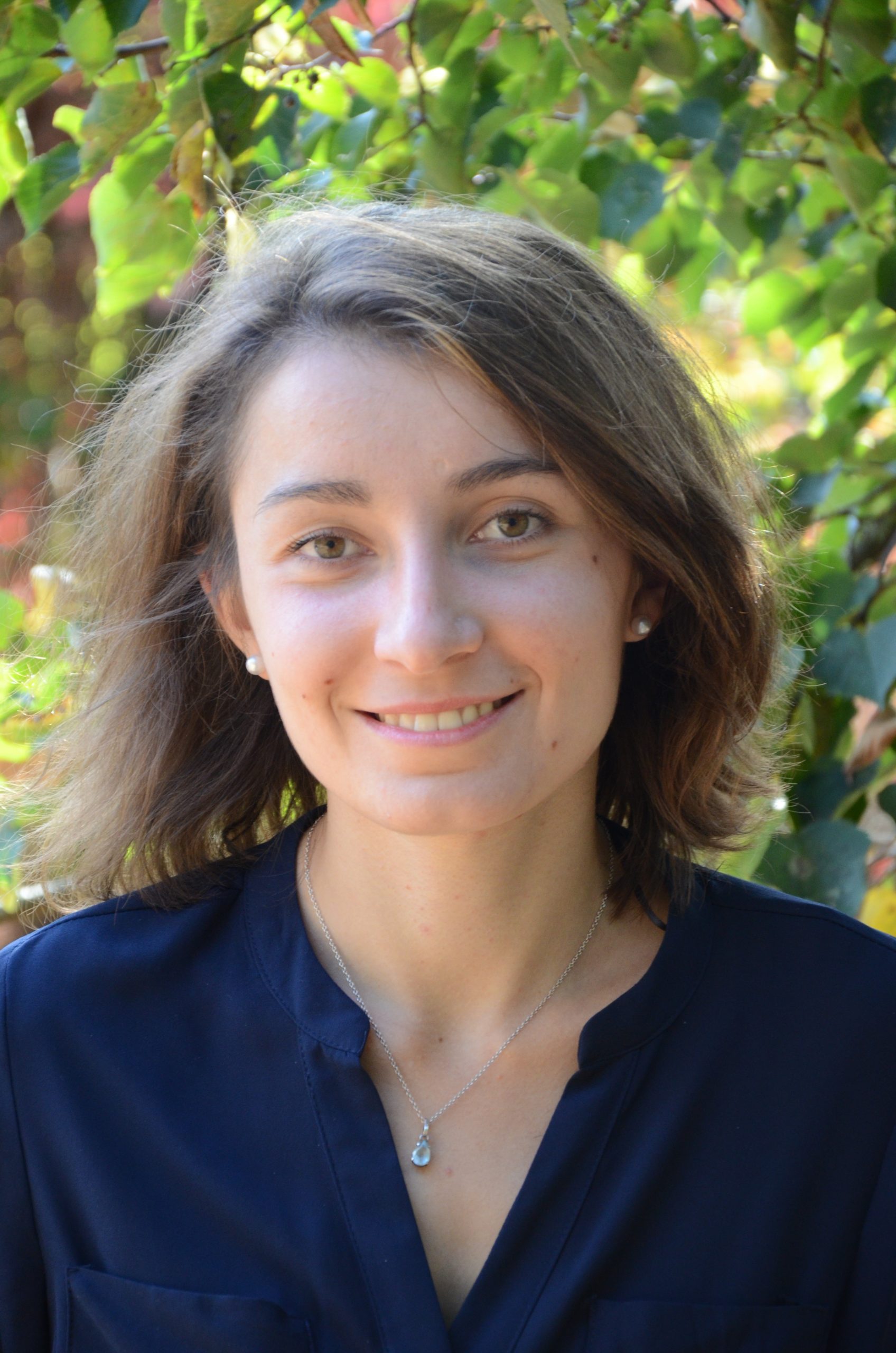 Qui sommes-nous ? - ADA France