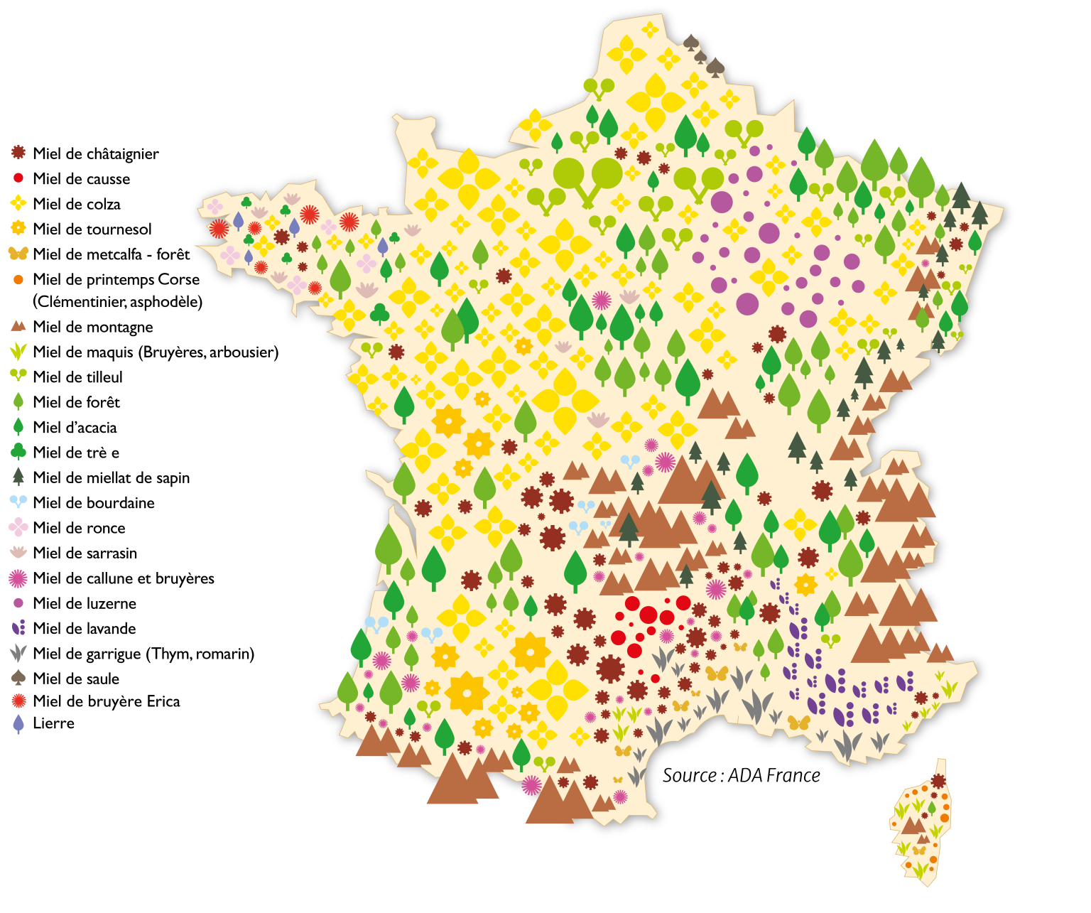 Le marché du miel en France - ADA France